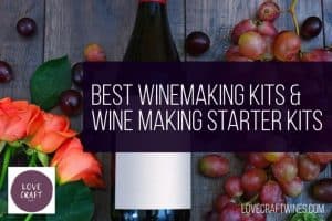 10 Best Wine Making Starter Kits (2026 Review)