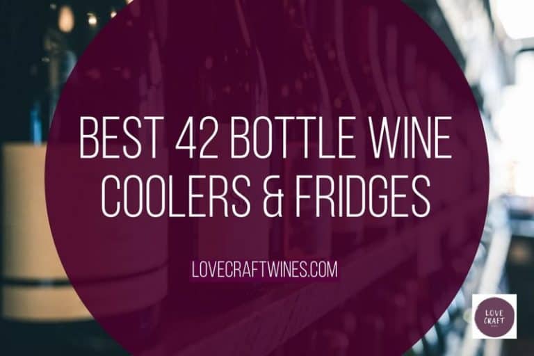 Top 8 Best 42-Bottle Wine Fridges (2026 Review)